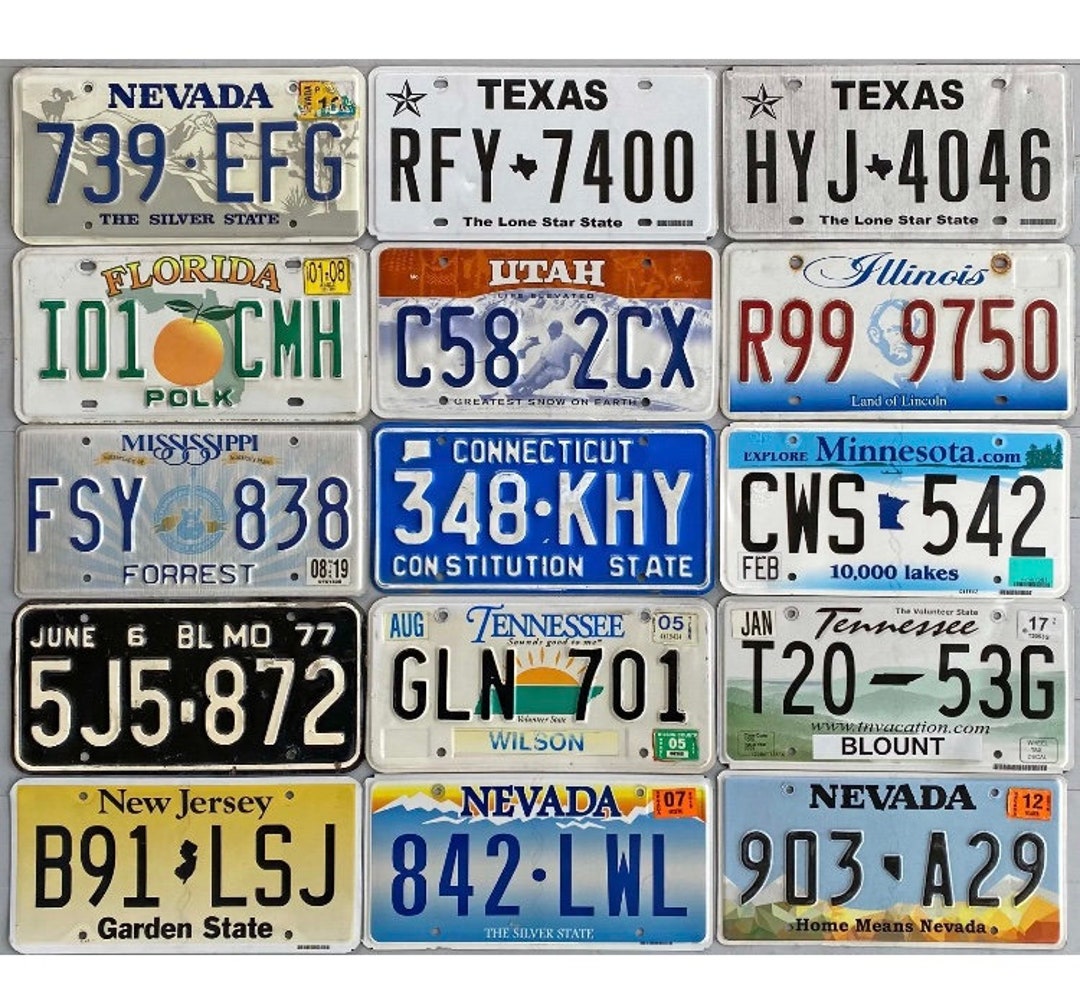 Choice of License Plate Nevada, Florida, Mississippi, Missouri, New ...