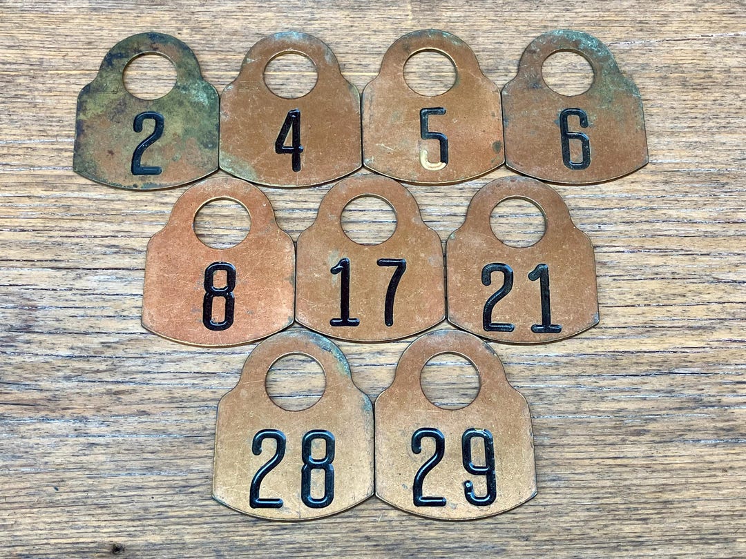 Choice of Brass Cattle Tag Numbers 2, 4, 5, 6, 8, 17, 21, 28, 29 ...