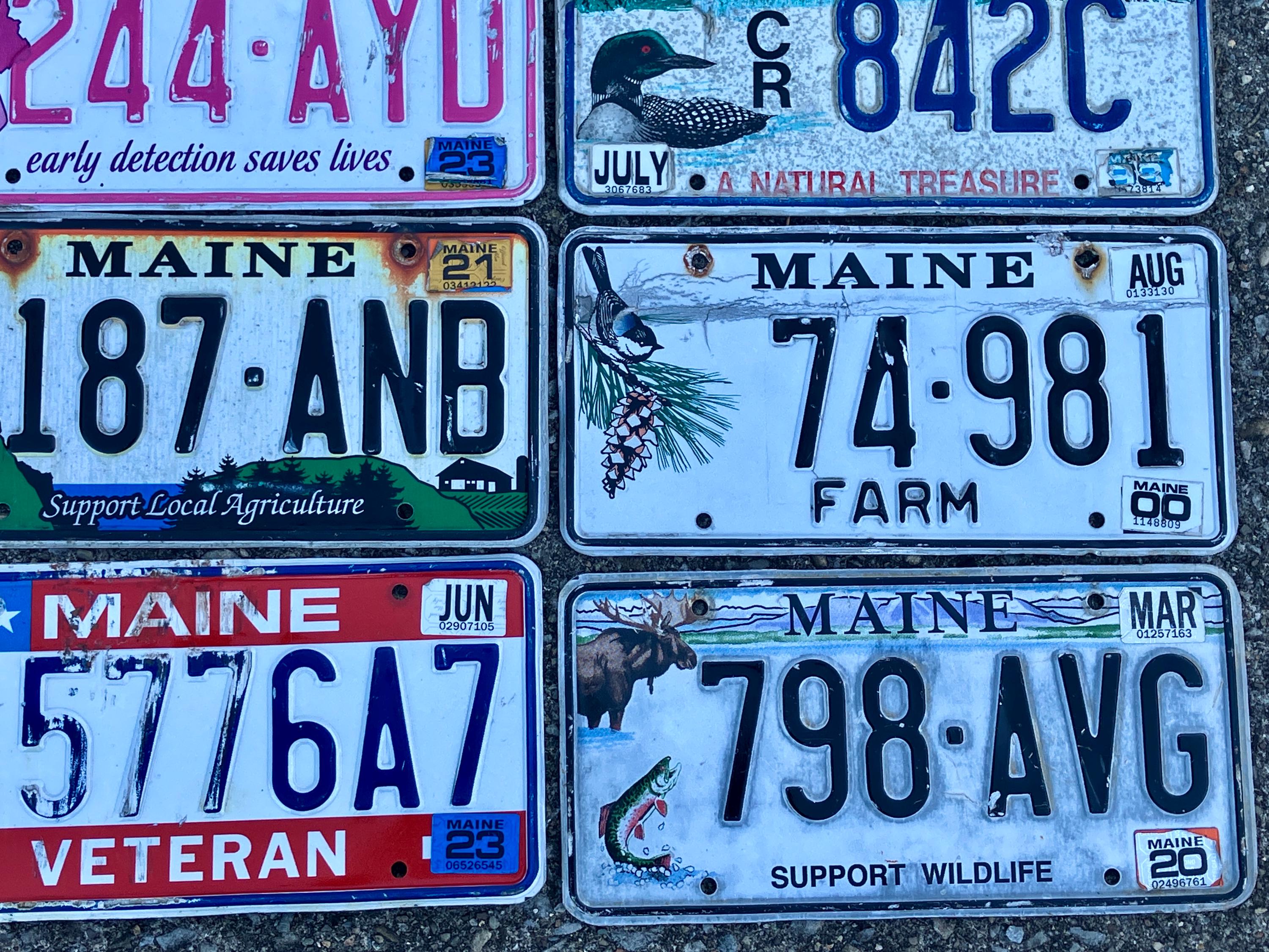 Choice of Maine License Plate Specialty Original Maine Vacationland ...
