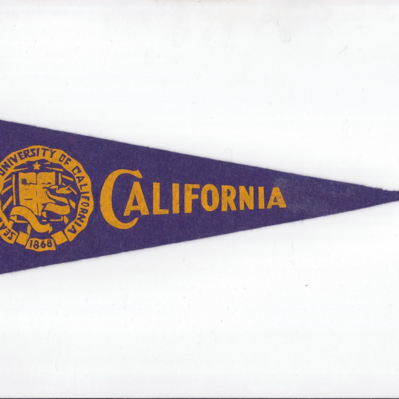 California Pennant - Etsy