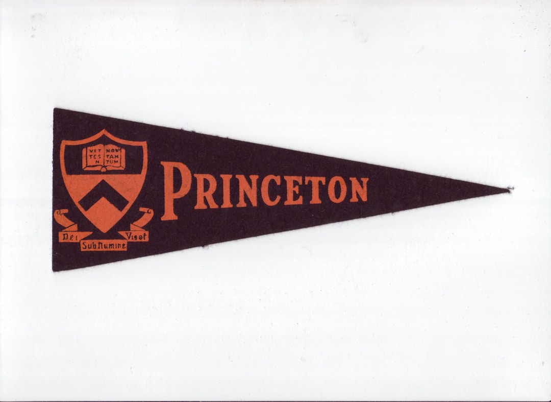 Vintage College Pennant PRINCETON University 9 1/2 Inch Orange Small ...