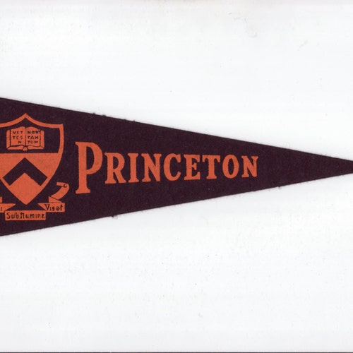 1950's Vintage Princeton Tigers College University MINI | Etsy