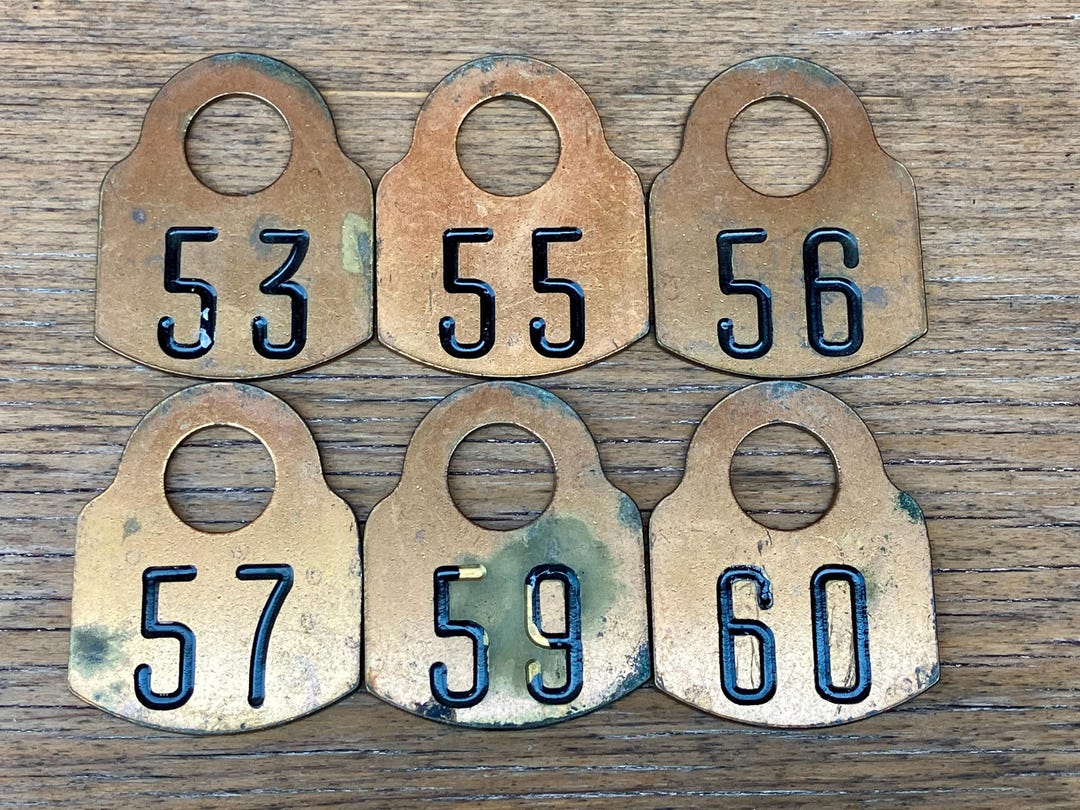Choice of Brass Cattle Tag Numbers 53, 55, 56, 57, 59, 60 Vintage ...