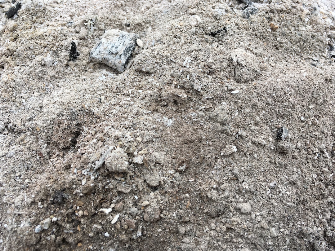 Burned Wood Ash Powder Raw Unsifted Ash Organic Gardening Composting ...