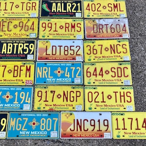 Choice of New Mexico License Plate Original S - Etsy