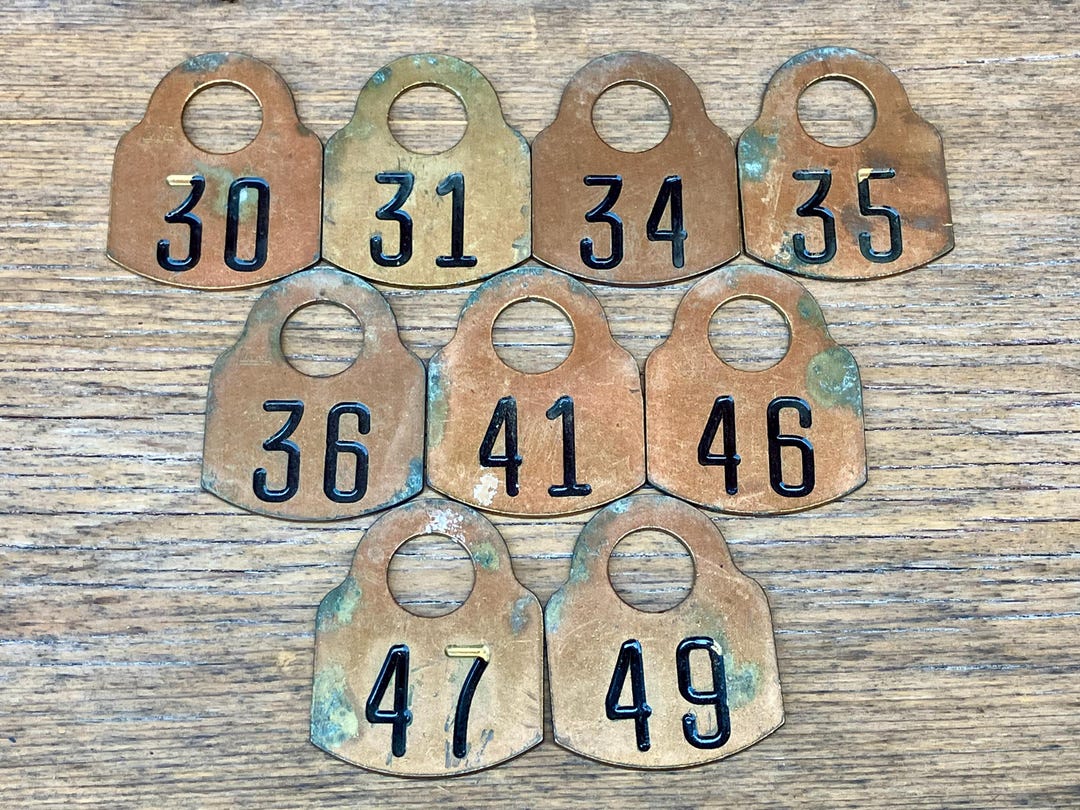 Choice of Brass Cattle Tag Numbers 30, 31, 34, 35, 36, 41, 46, 47, 49 ...