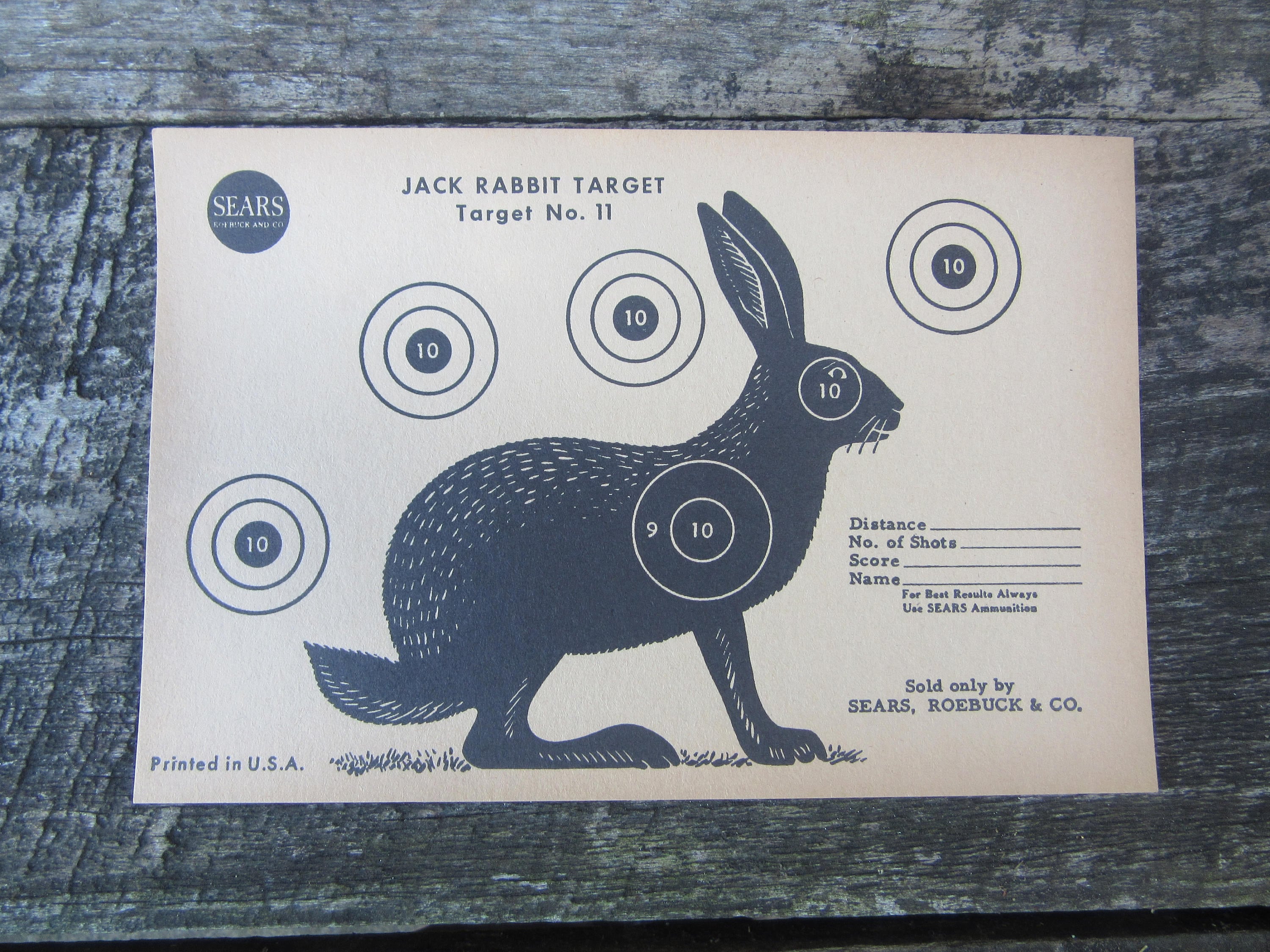 Rabbit Targets Silhouette