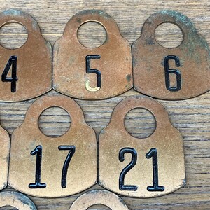 Choice of Brass Cattle Tag Numbers 2, 4, 5, 6, 8, 17, 21, 28, 29 ...