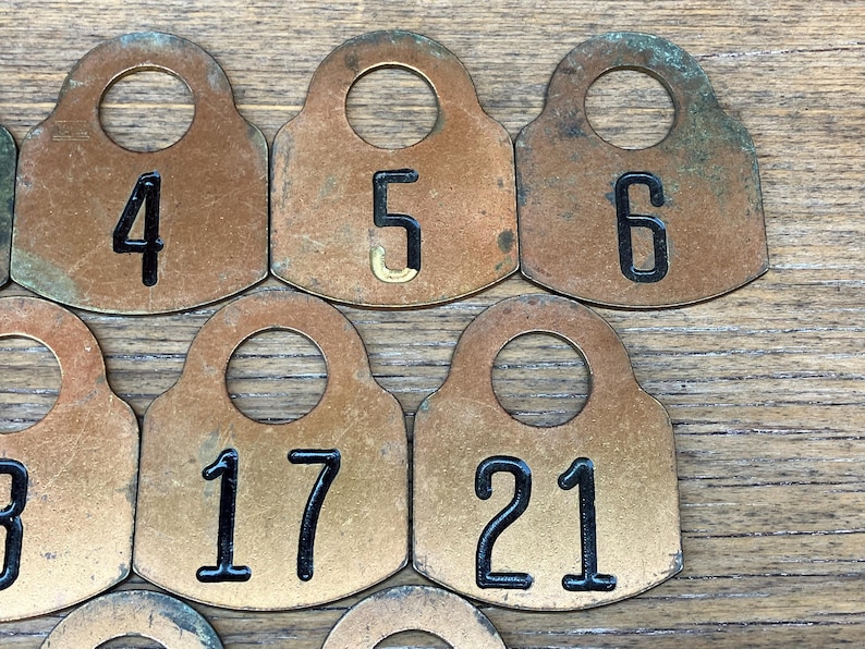 Choice of Brass Cattle Tag Numbers 2, 4, 5, 6, 8, 17, 21, 28, 29 ...