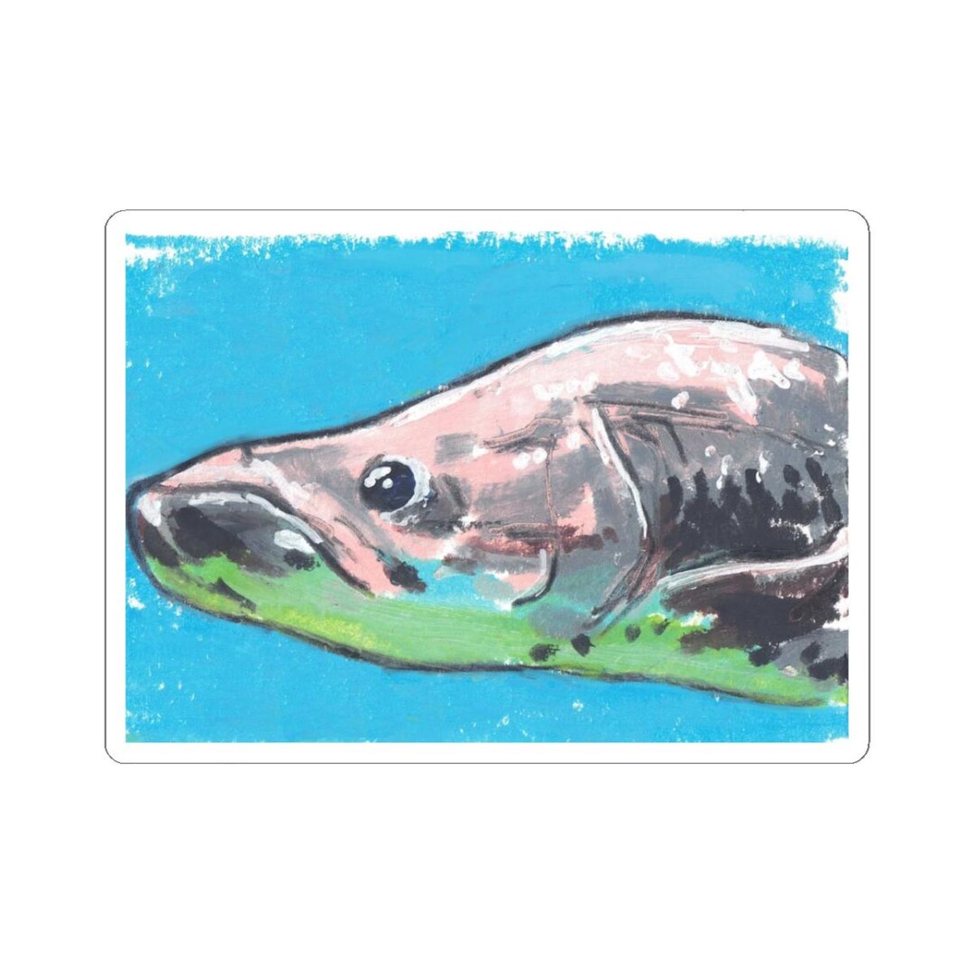Arapaima Oil Pastel Drawing Sticker - Etsy