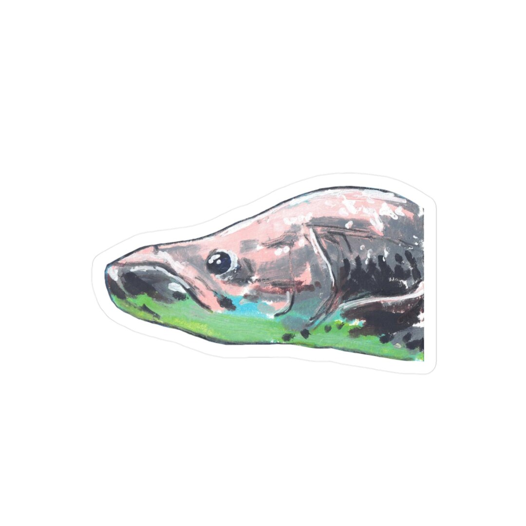 Arapaima Oil Pastel Drawing Water-resistant Sticker - Etsy