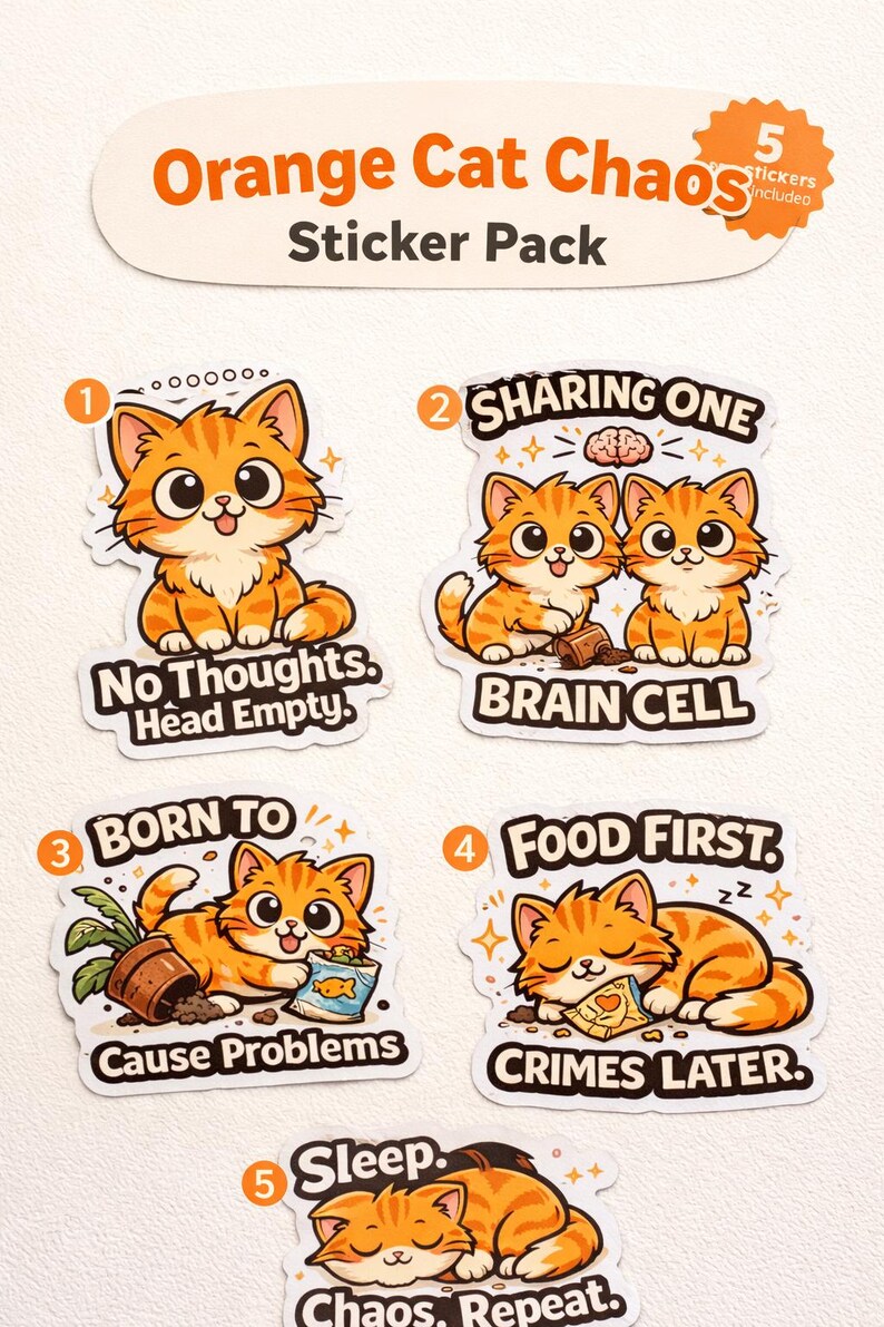 Orange Cat Chaos Sticker Pack – 5 Funny Cat Stickers - Etsy