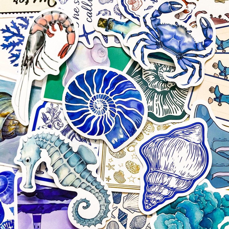 50 Random Blue Sea Stickers Pack, Coastal Cowgirl Stickers, Seashell ...