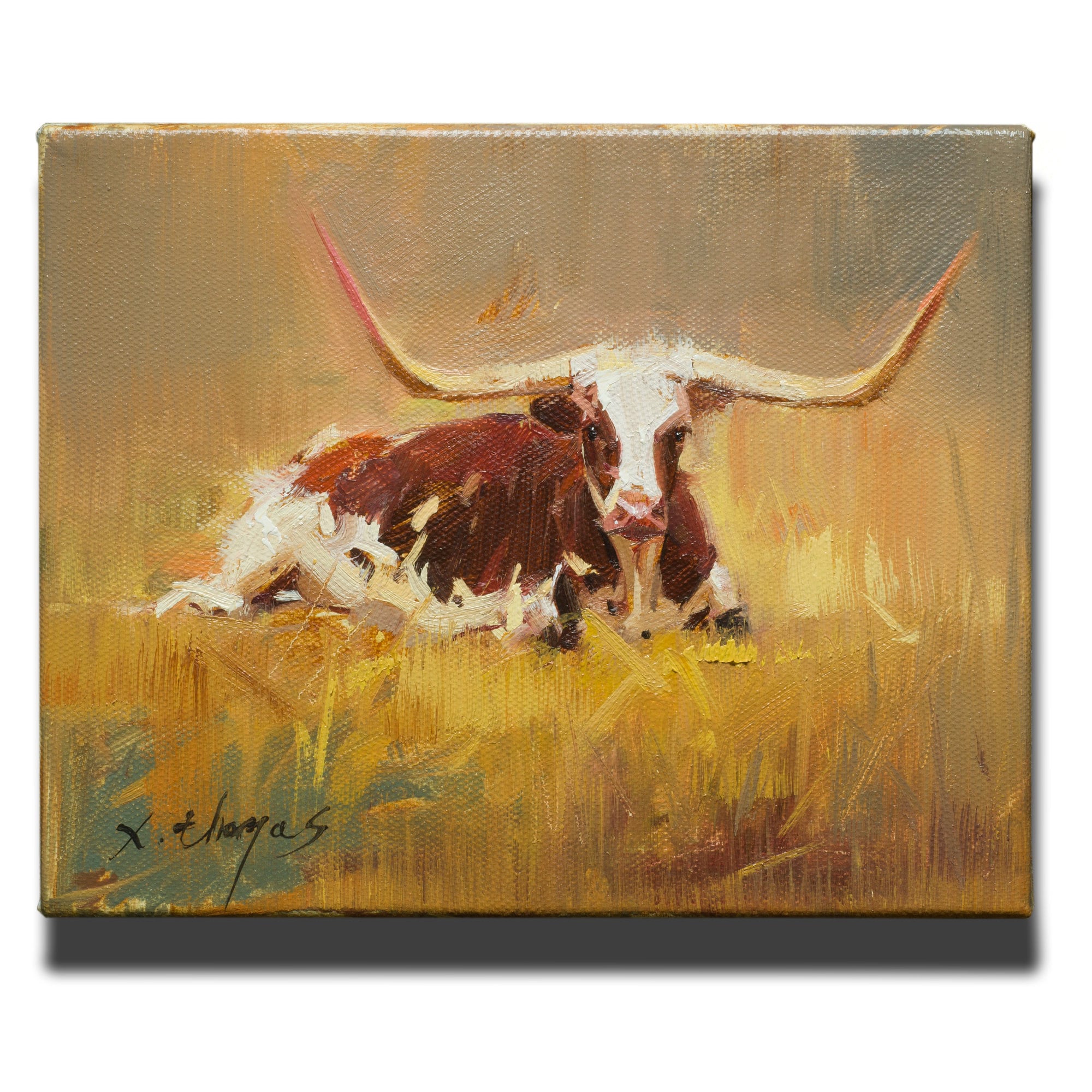 Original Texas Longhorn Cow Oil Painting on Canvas , Home Decorations ...