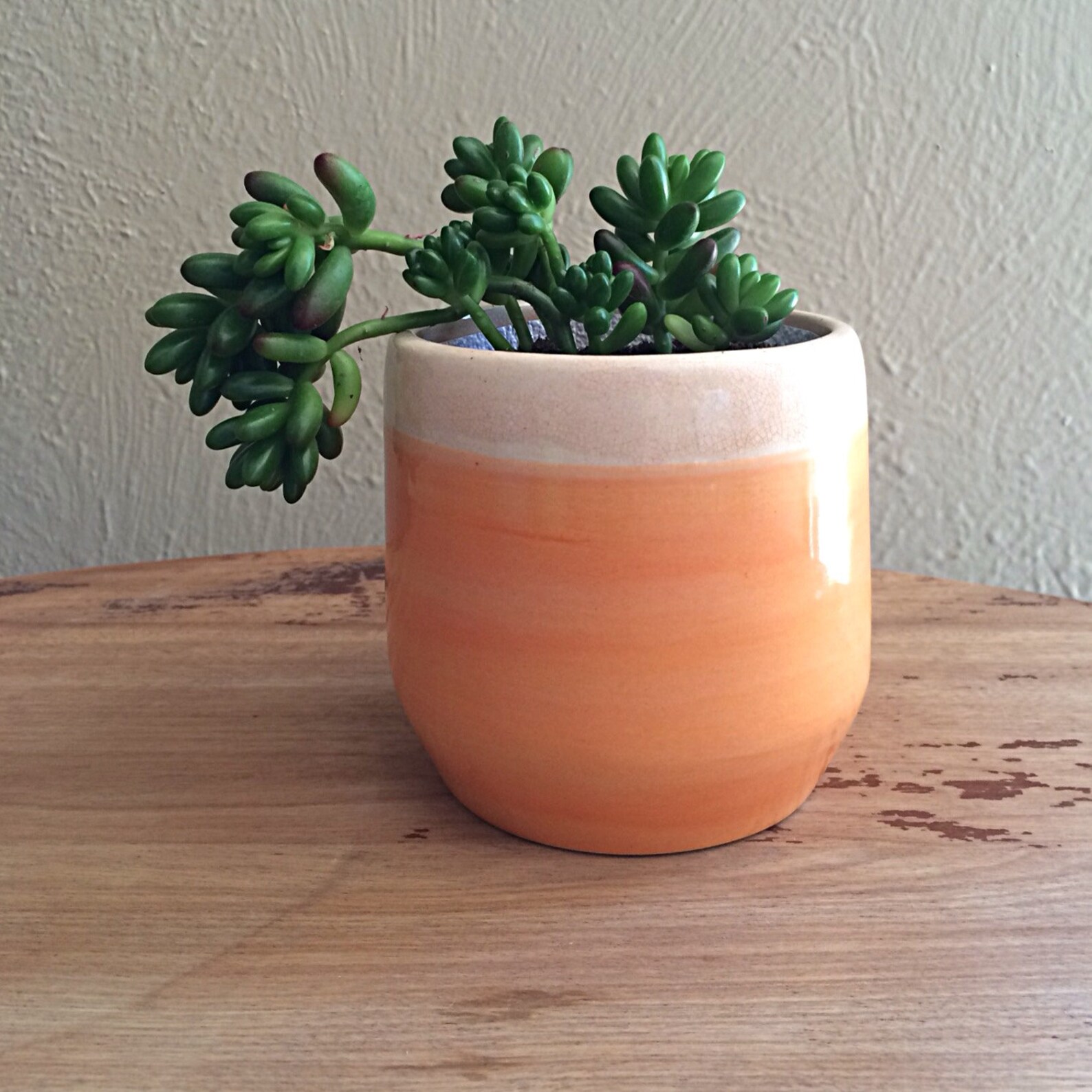 Handmade to Order Ceramic Planter - Etsy