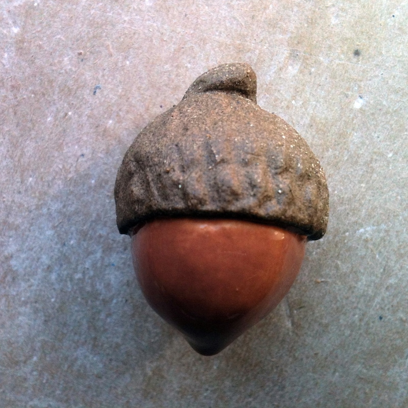 Fall Cabinet Knobs - Etsy