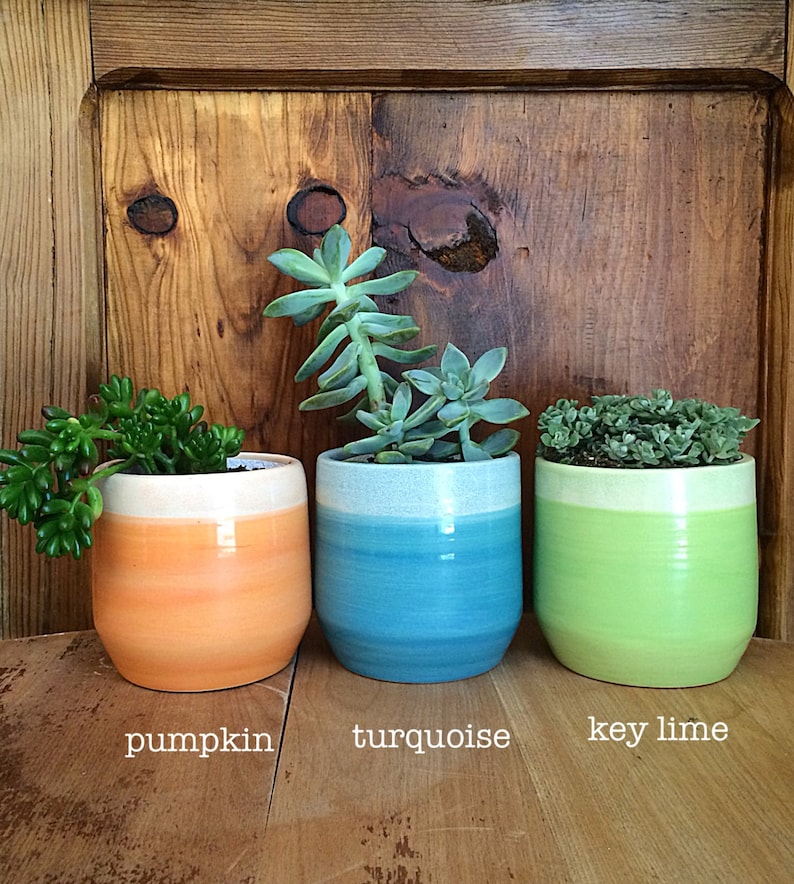 Handmade to Order Ceramic Planter - Etsy