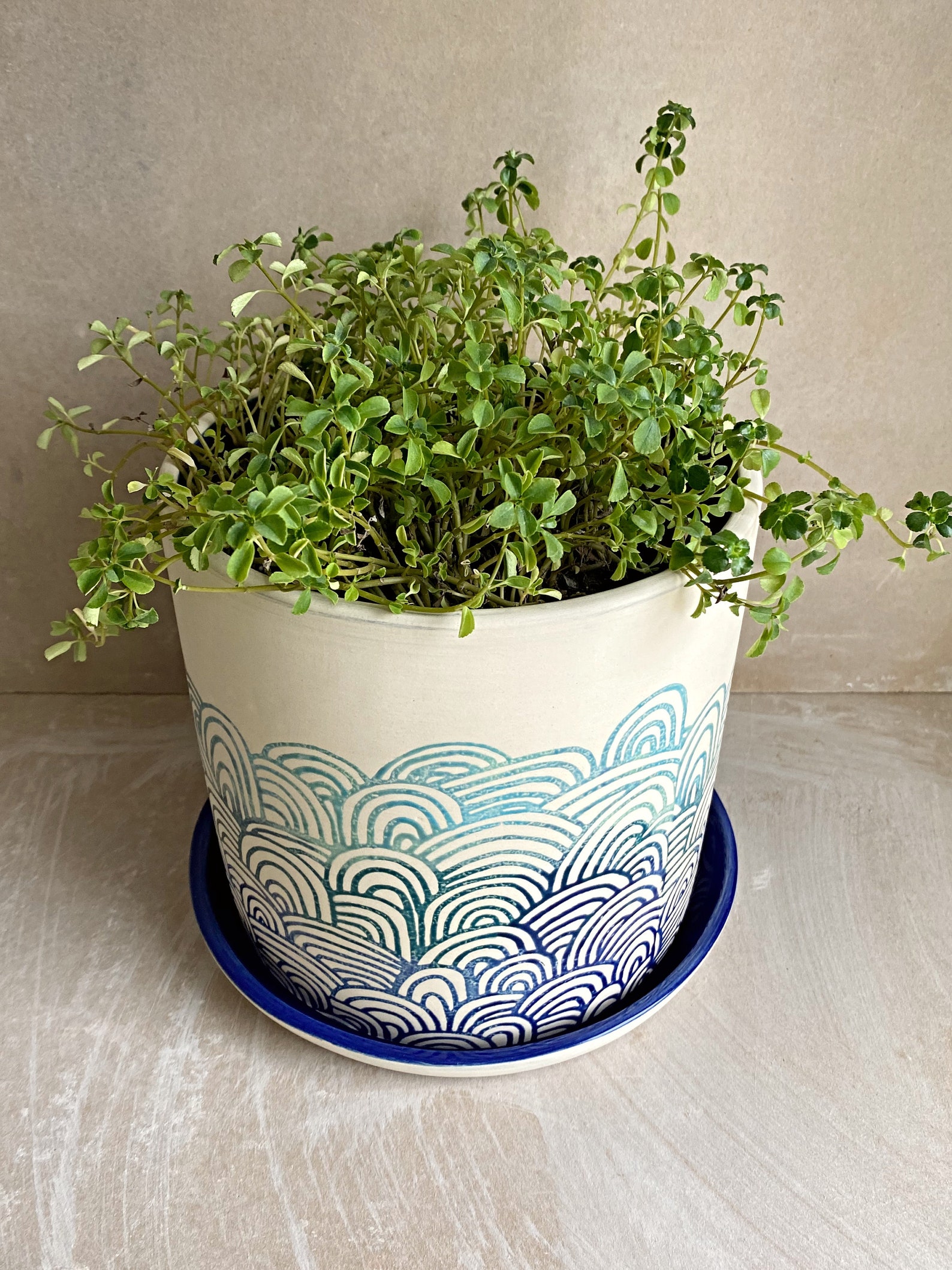 Handmade to order 8 ceramic planter | Etsy