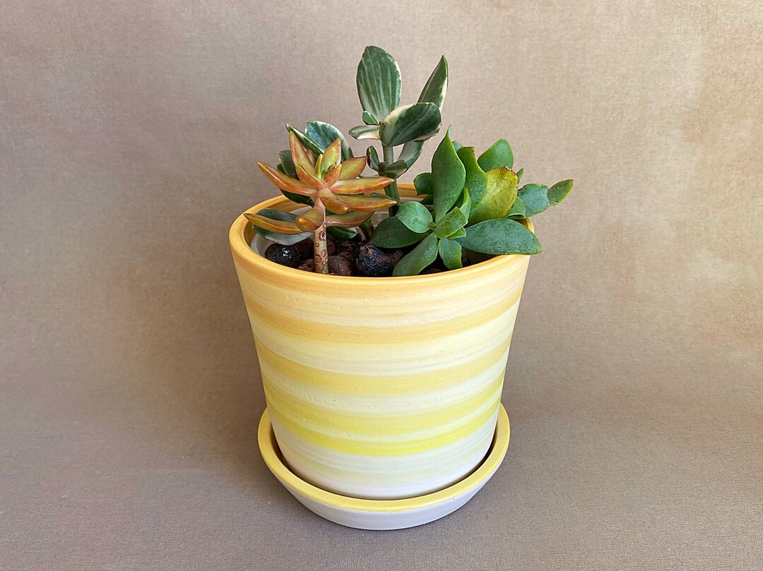 Handmade to Order Ceramic Planter - Etsy