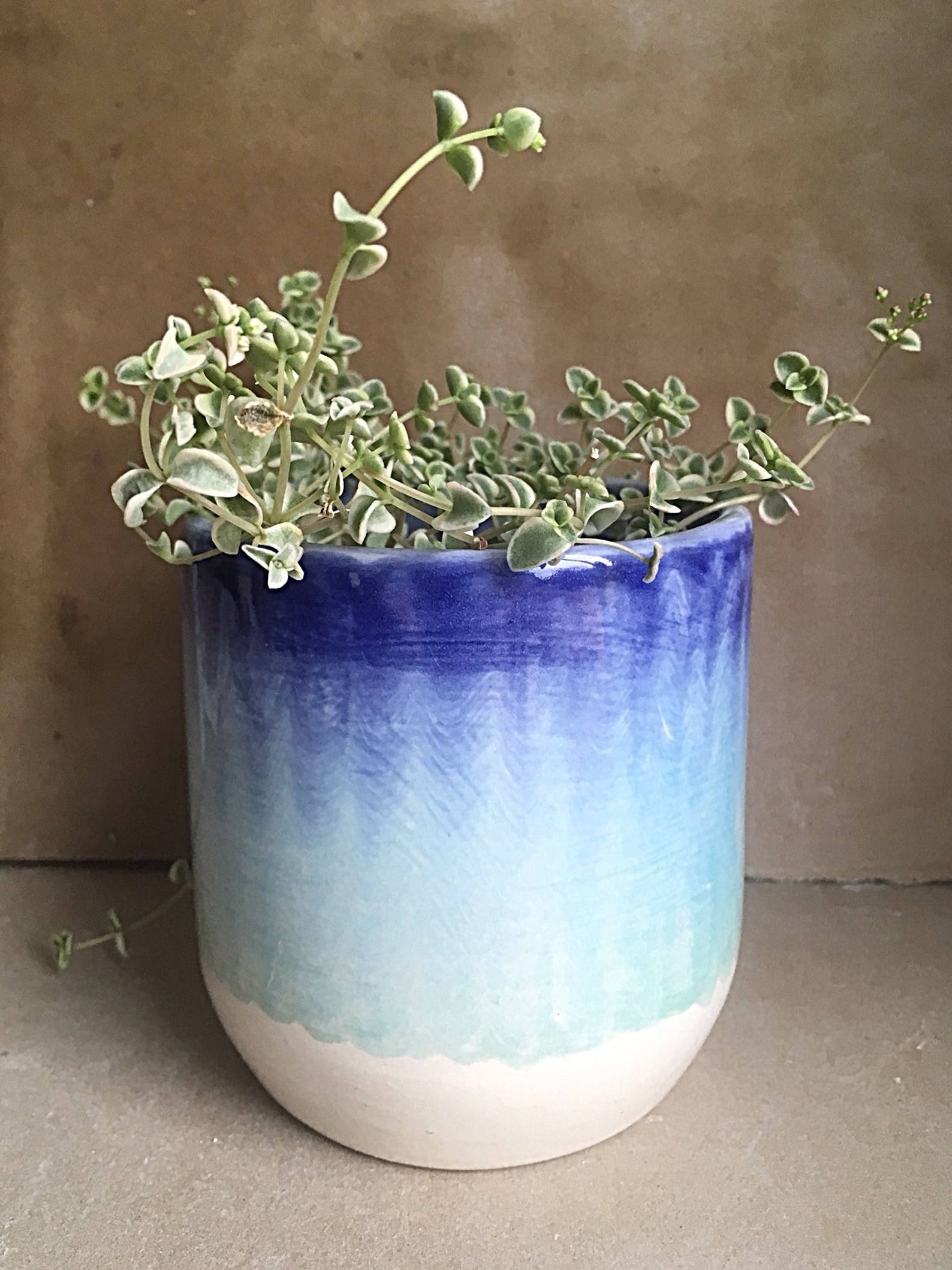 Handmade to Order Ceramic Planter - Etsy