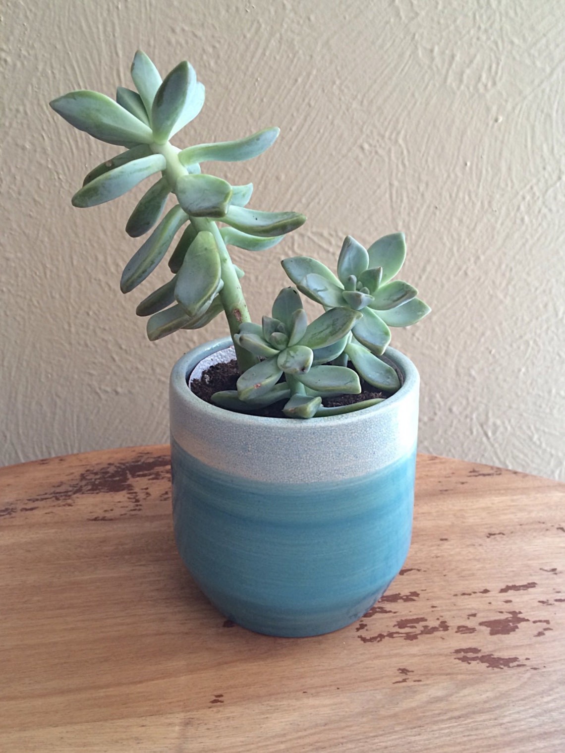 Handmade to Order Ceramic Planter Set of 3 - Etsy