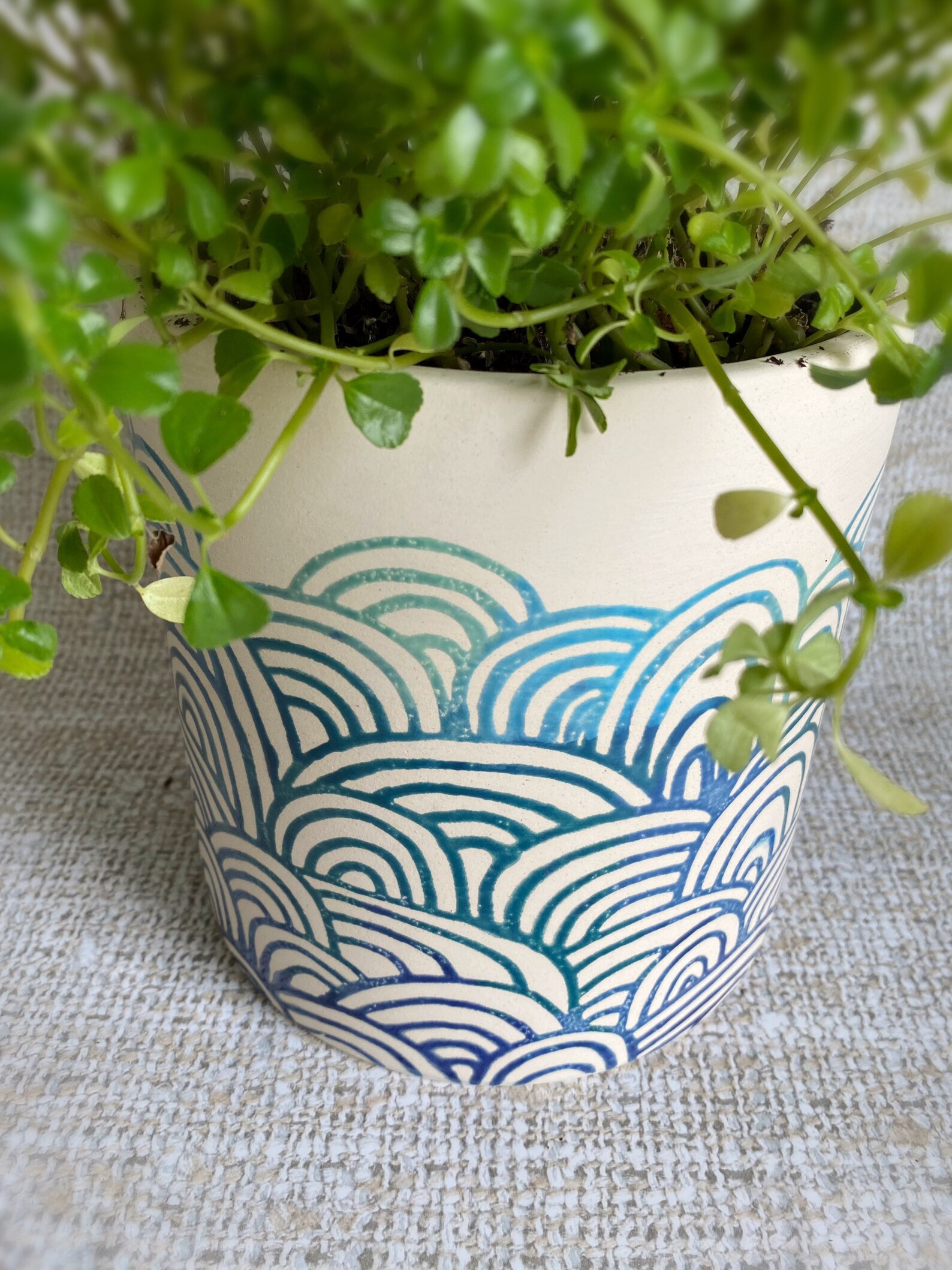 Handmade to Order Ceramic Planter - Etsy