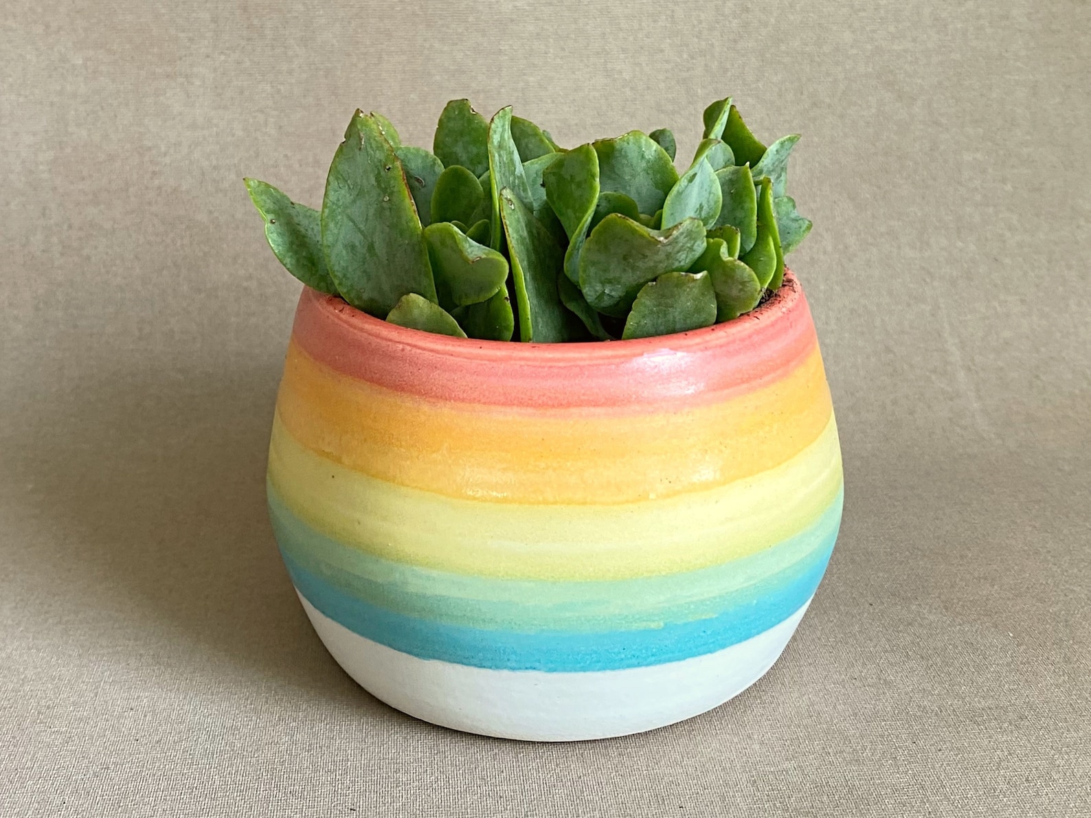 Handmade to Order Ceramic Planter - Etsy