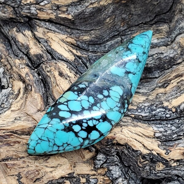 Spiderweb Turquoise - Etsy