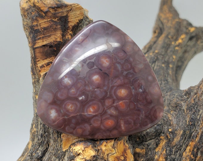 Coprolite Dinosaur Poop Large Cabochon - Etsy