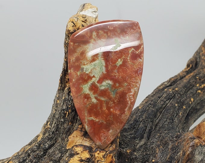 Coprolite Dinosaur Poop Designer Cabochon - Etsy