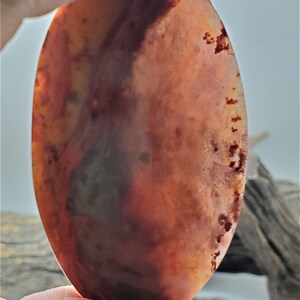 Coprolite Dinosaur Poop Large Cabochon - Etsy