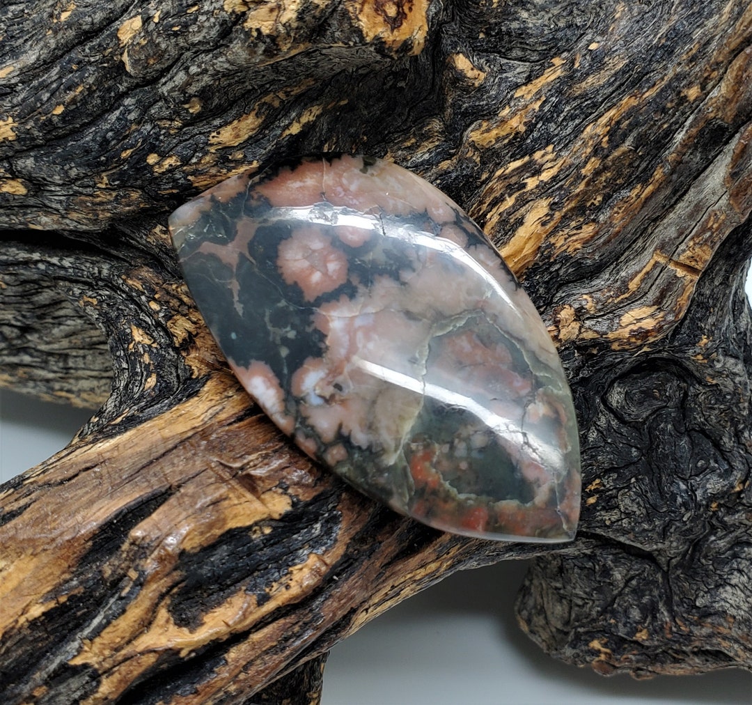Coprolite Dinosaur Poop Designer Cabochon - Etsy