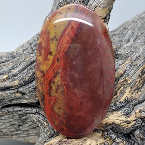 Coprolite Dinosaur Poop Large Cabochon - Etsy