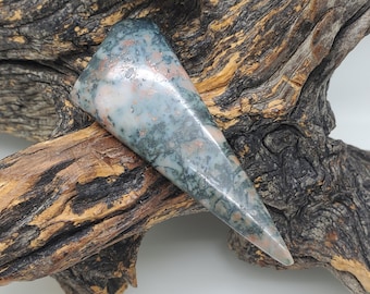 Coprolite Dinosaur Poop Large Cabochon - Etsy