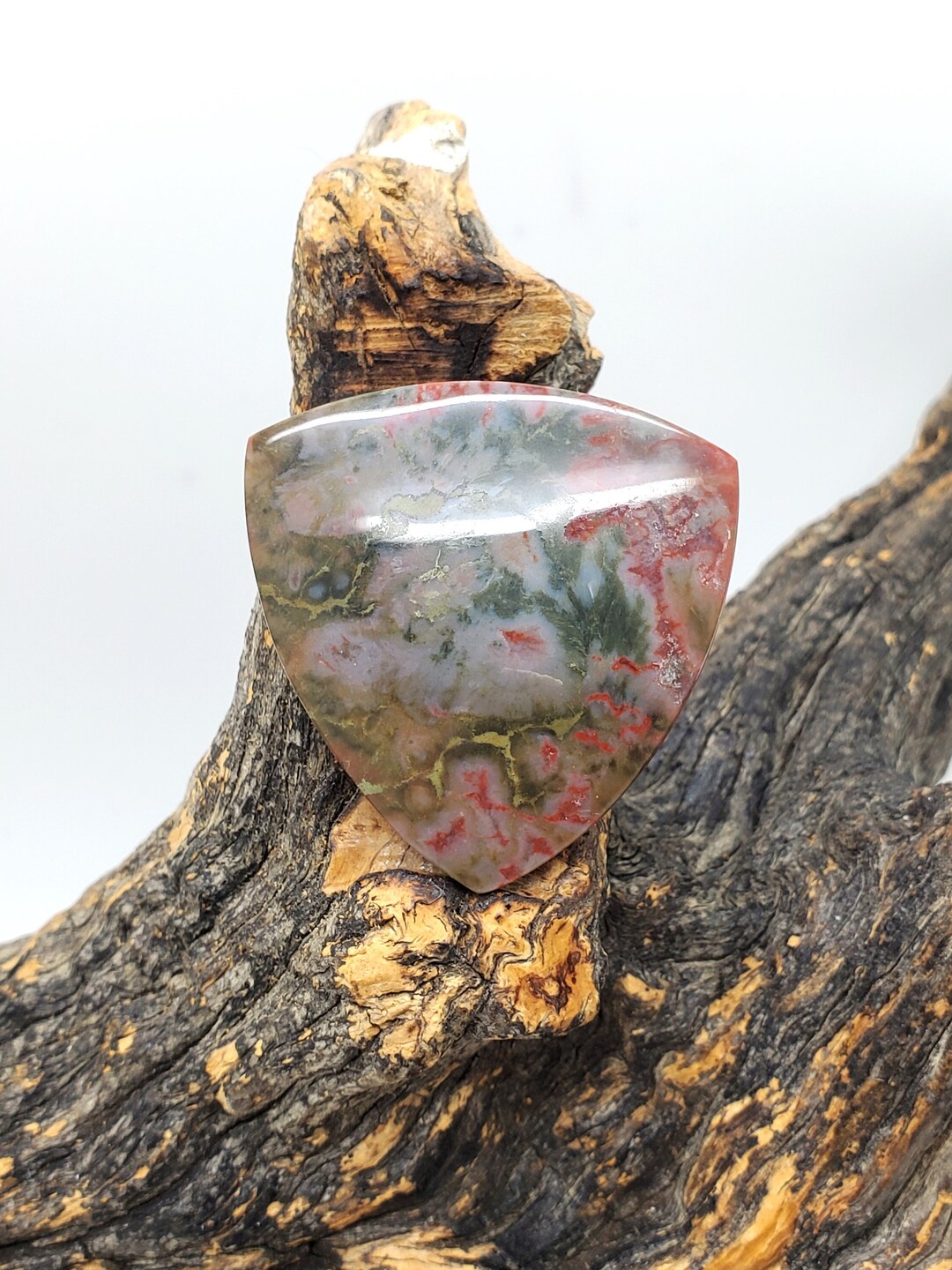 Coprolite Dinosaur Poop Designer Cabochon - Etsy