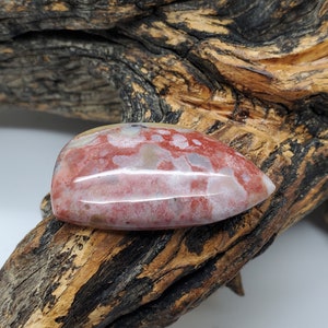 Coprolite Dinosaur Poop Designer Cabochon - Etsy