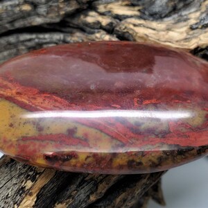 Coprolite Dinosaur Poop Large Cabochon - Etsy