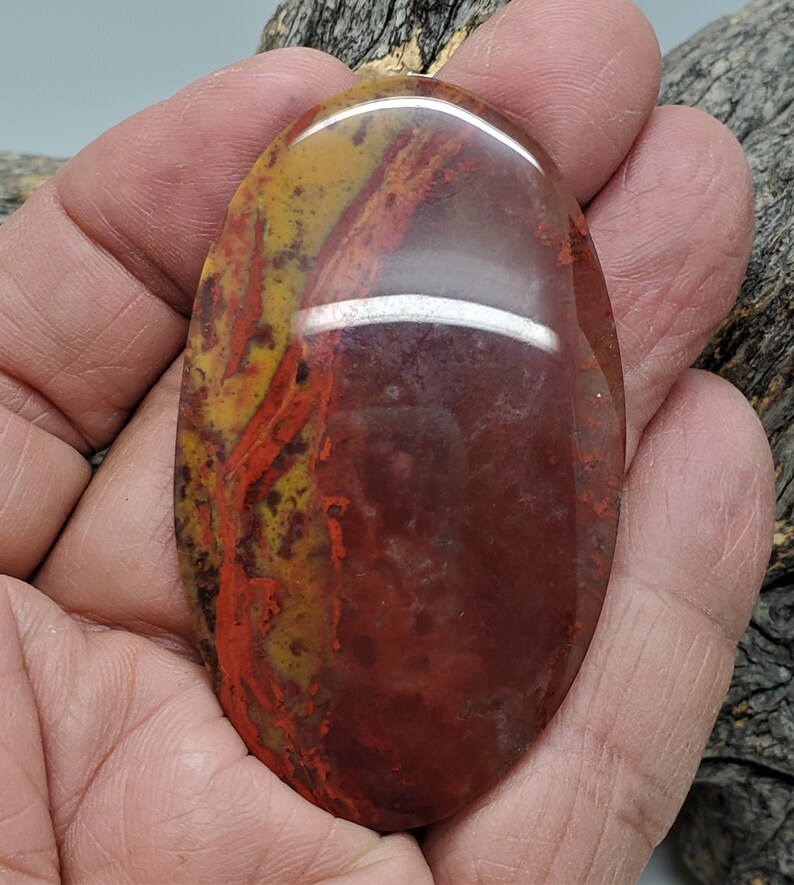 Coprolite Dinosaur Poop Large Cabochon - Etsy