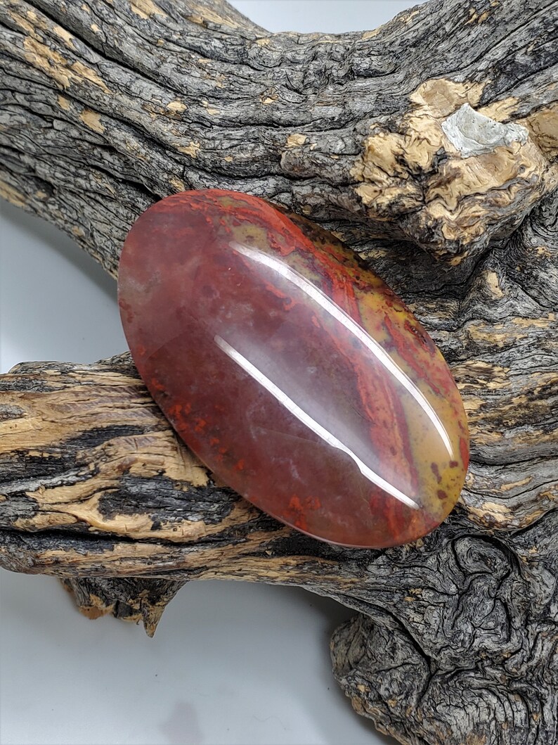 Coprolite Dinosaur Poop Large Cabochon - Etsy