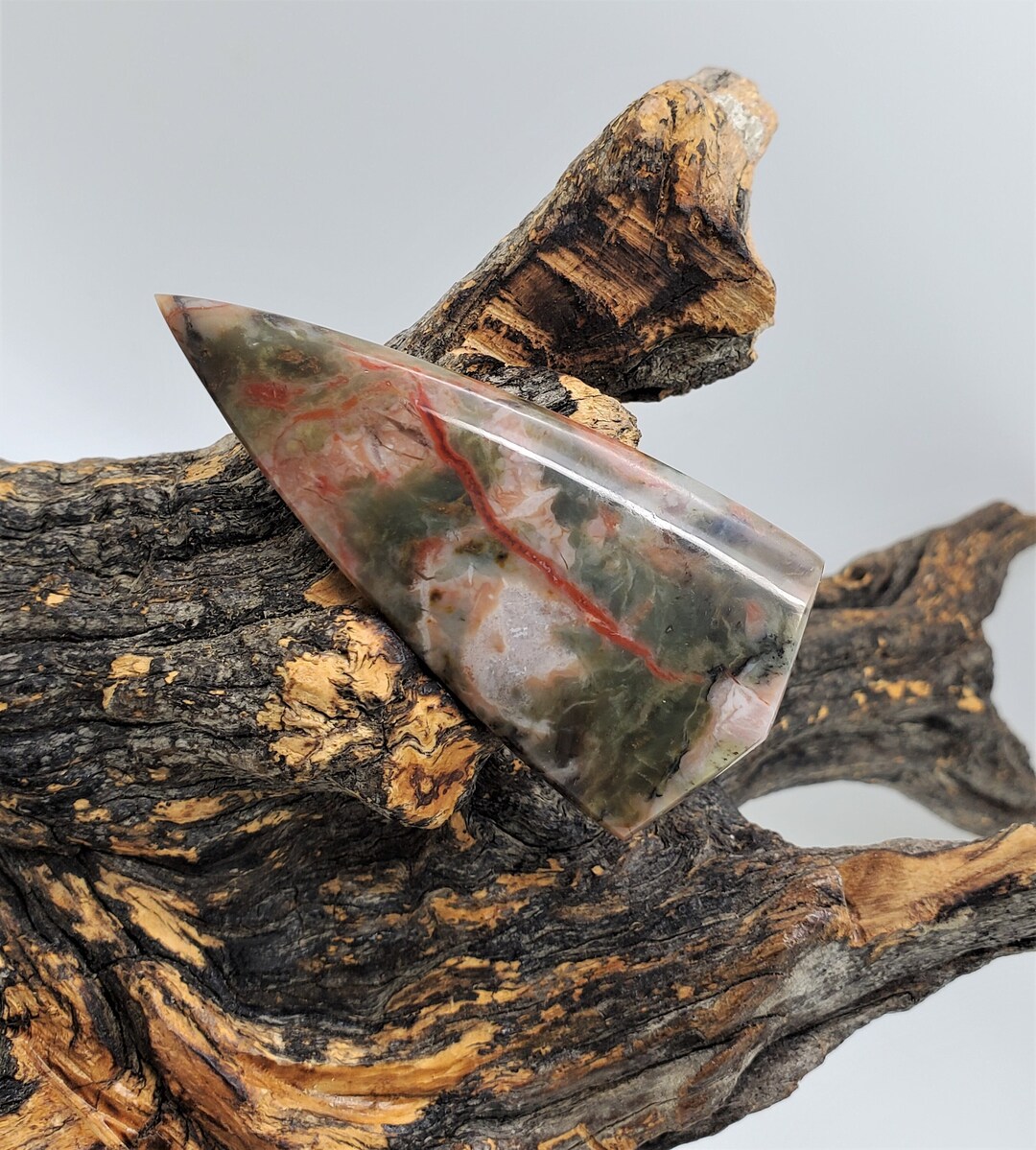 Coprolite Dinosaur Poop Designer Cabochon - Etsy