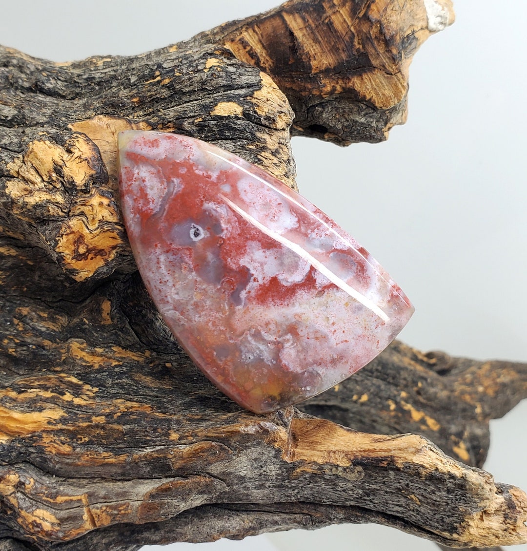 Coprolite Dinosaur Poop Designer Cabochon - Etsy