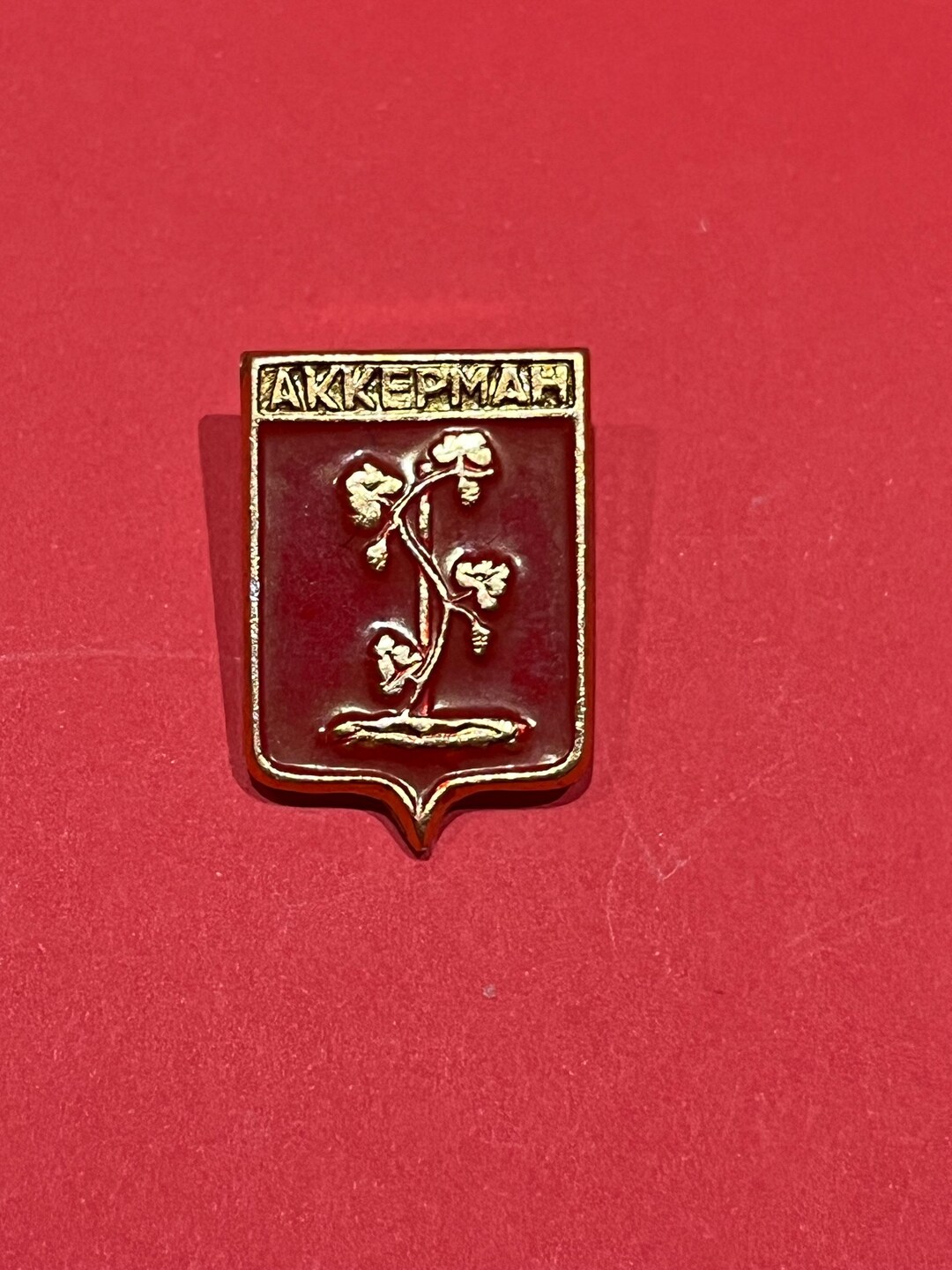 Vintage Akkerman USSR Enamel Pin Soviet Ukraine City Crest Grape Vine ...