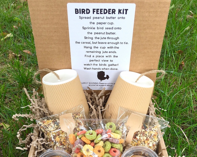 Bird Feeder Kit, Craft Kits for Kids, Kids Craft Kits, Craft Kit for ...