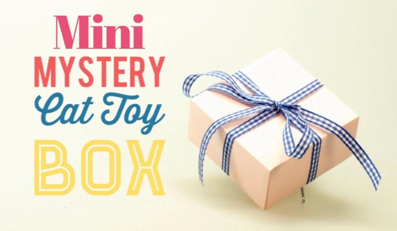 Cat Toy Box Mystery Cat Toy Box - Etsy