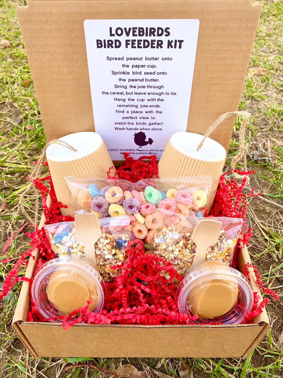 Valentines Day Craft Bird Feeder Kit - Etsy