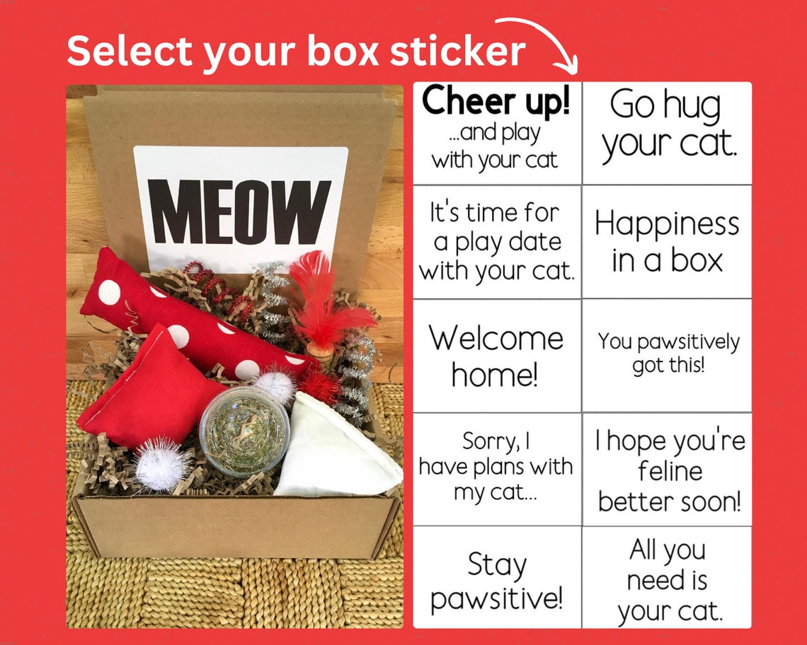 Cat Toy Box, Cat Gift Box, Catnip Toy, Cat Food Toy, Catnip Taco, Taco ...