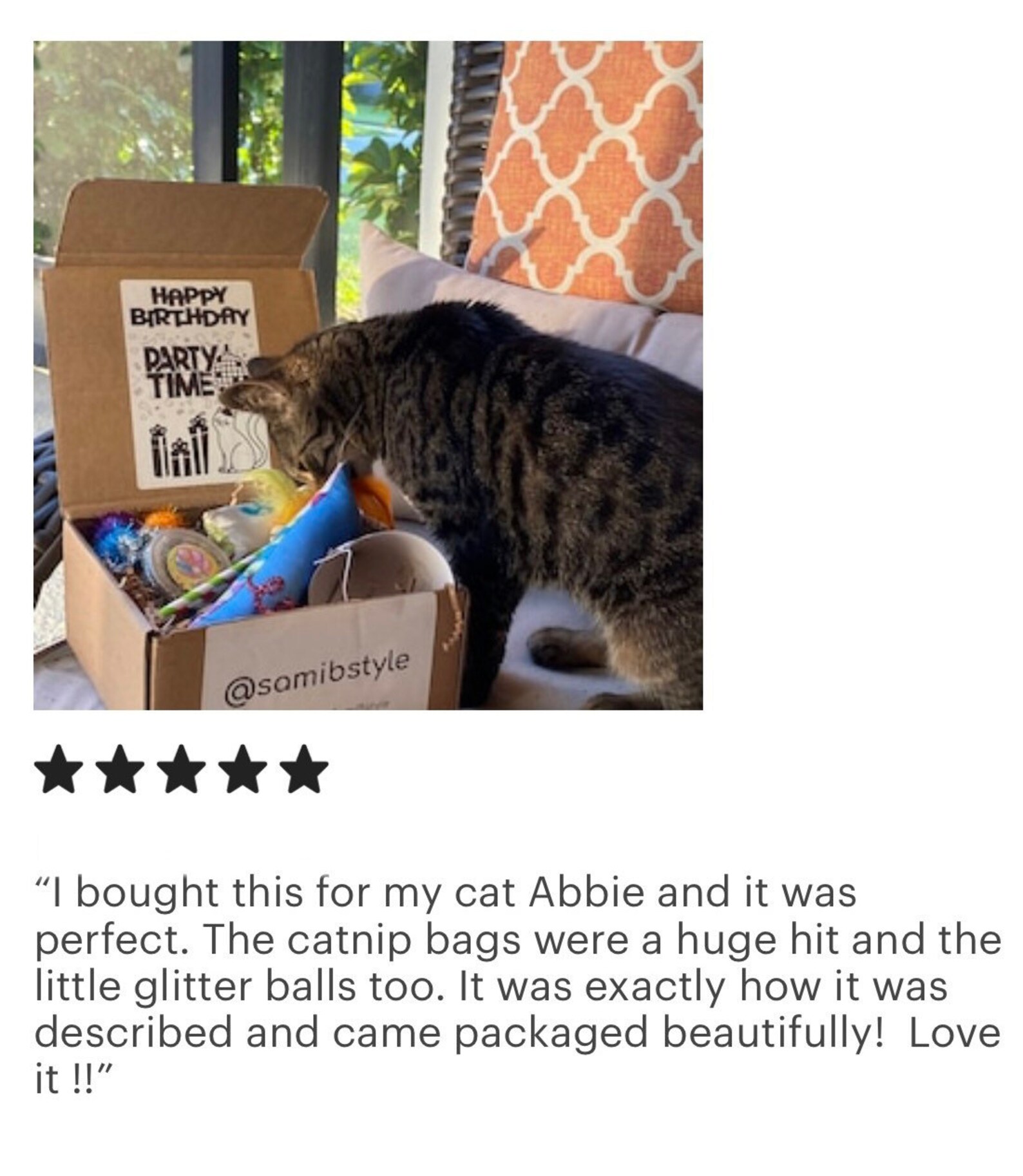 Birthday Cat Toy Gift Box | Etsy