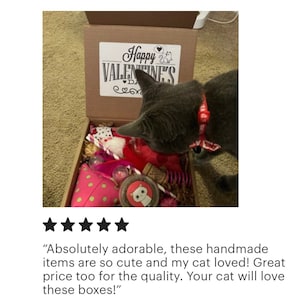 Birthday Cat Toy Gift Box - Etsy