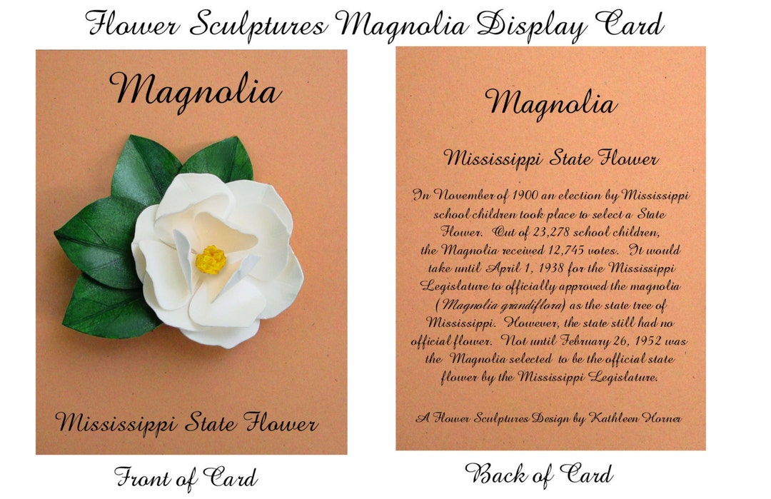 Mississippi State Flower Pin - Magnolia, State Flower, Magnolia ...