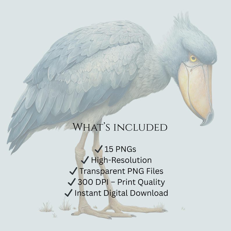 Shoebill Clipart Bundle PNG | Realistic Watercolor Shoebill Bird ...